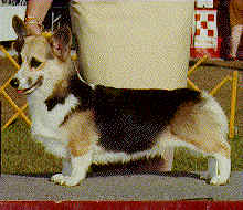 [SPOILER] Mounts' Arts Screengrabs : r/Guildwars2